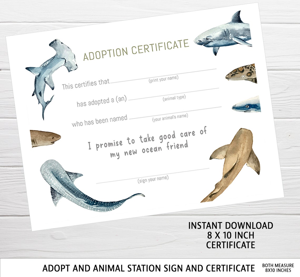Adopt a Shark, Digital You-print Adoption Certificate and Table Sign ...