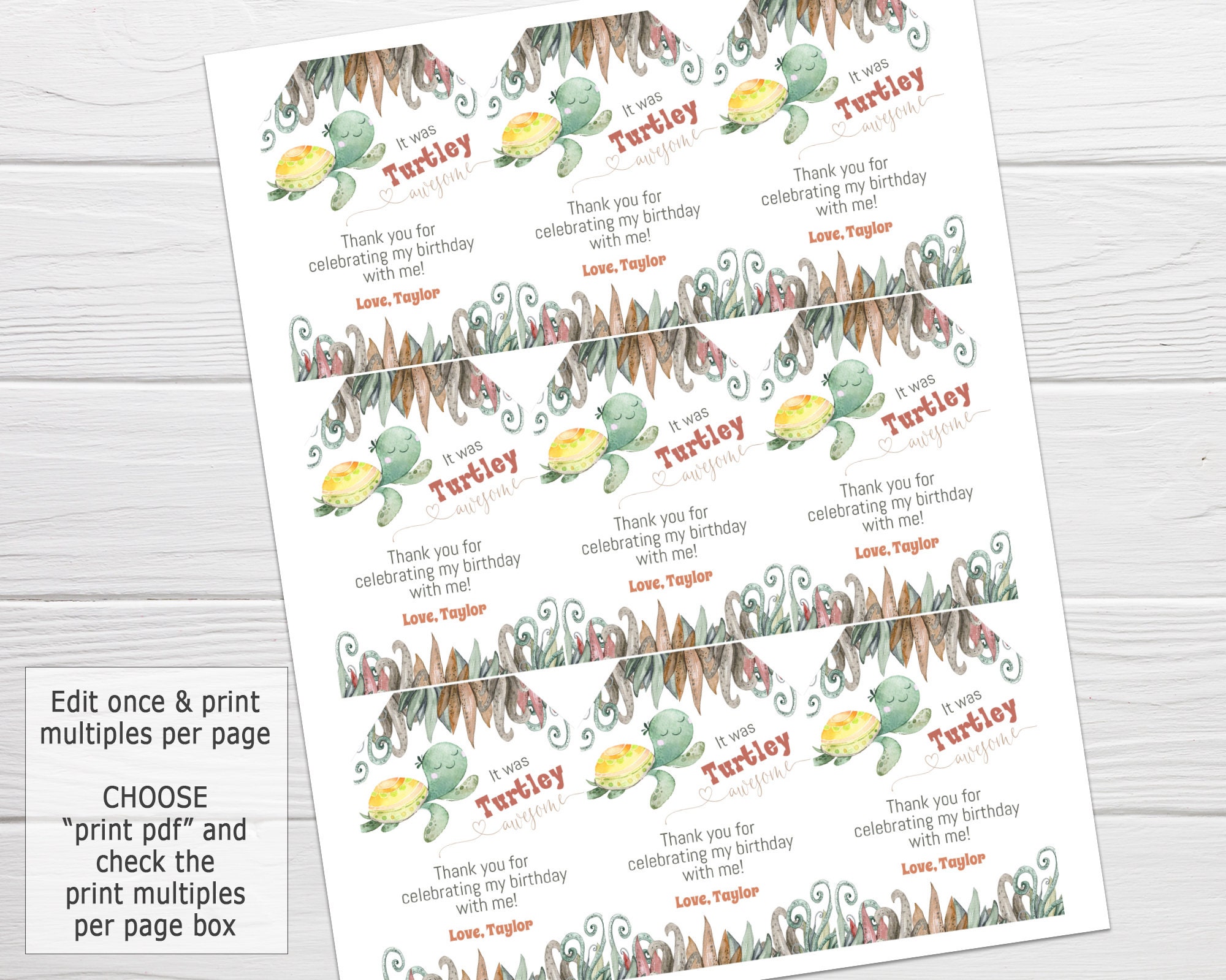 Turtle Favor Tags, Editable, Cute Turtle Birthday Hang Tag, Thank You ...