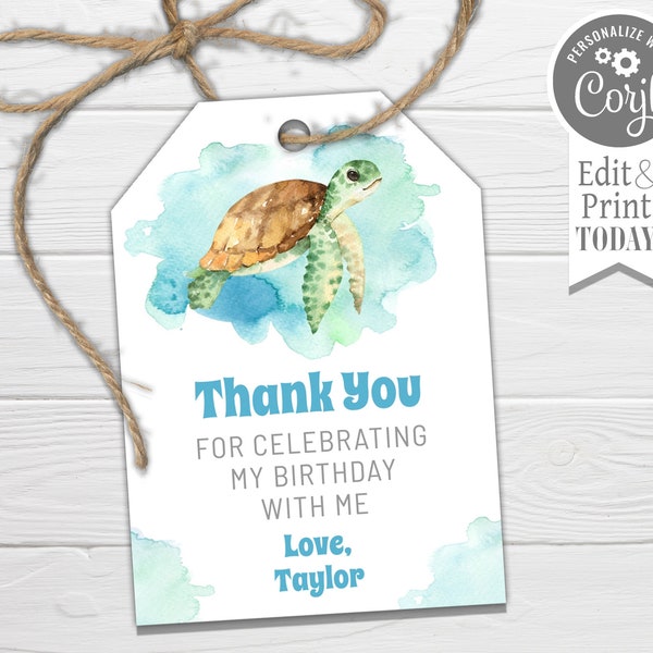 Turtle Party Favor - Etsy