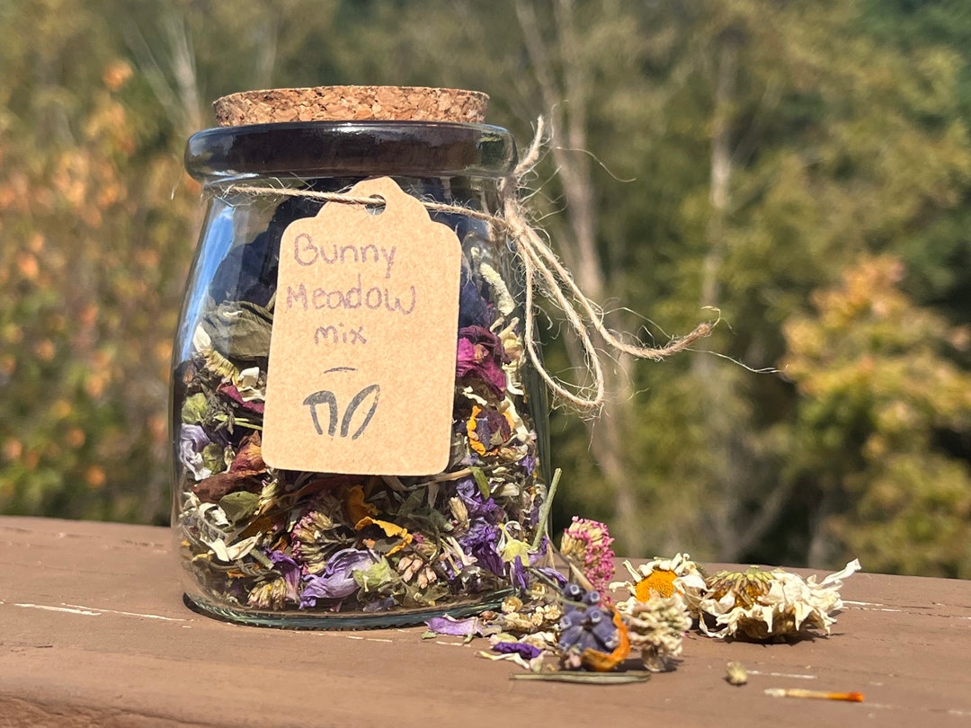 Bunny Meadow Forage Forage - Etsy