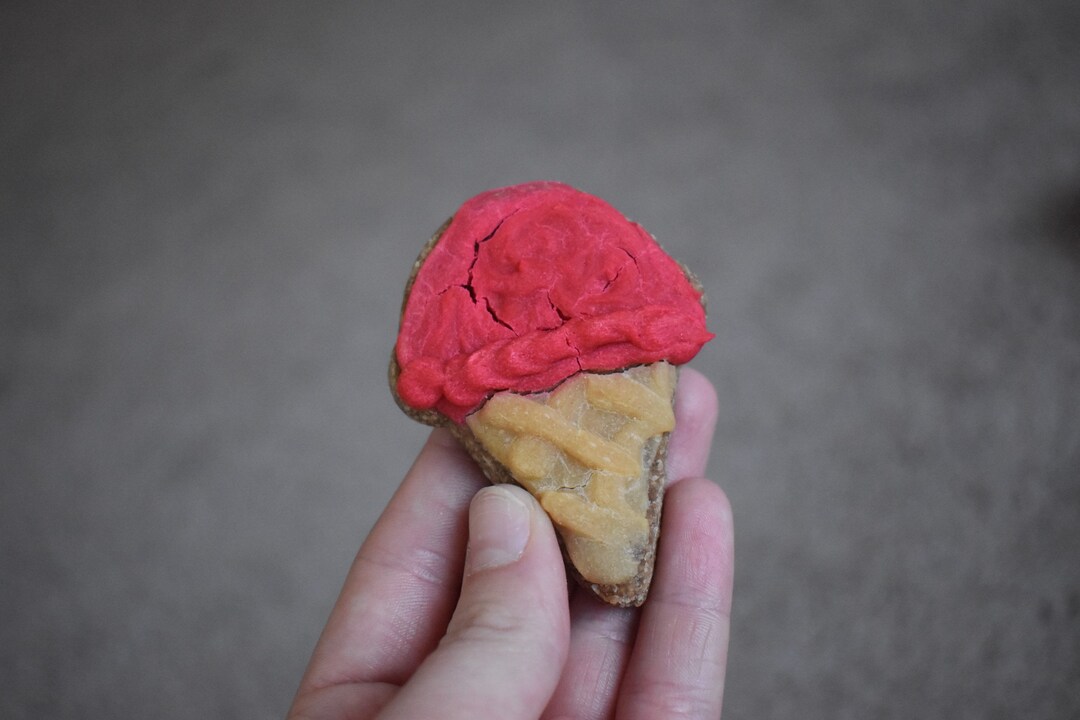 Frosted Dog Cookies! || Dog Treats - Etsy
