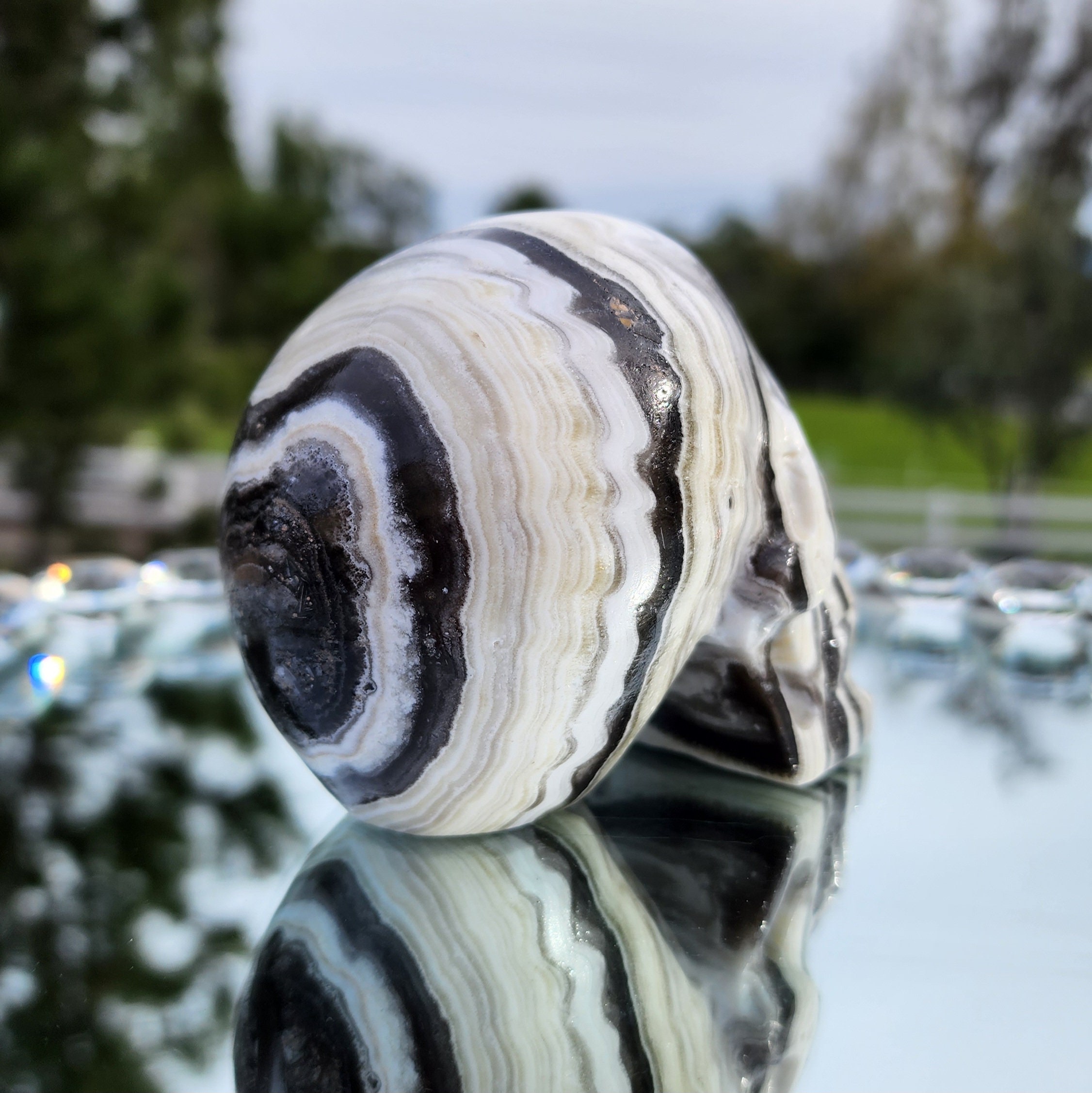 Mexican Zebra Calcite Skull. This Unique Large Crystal Skull is Great ...