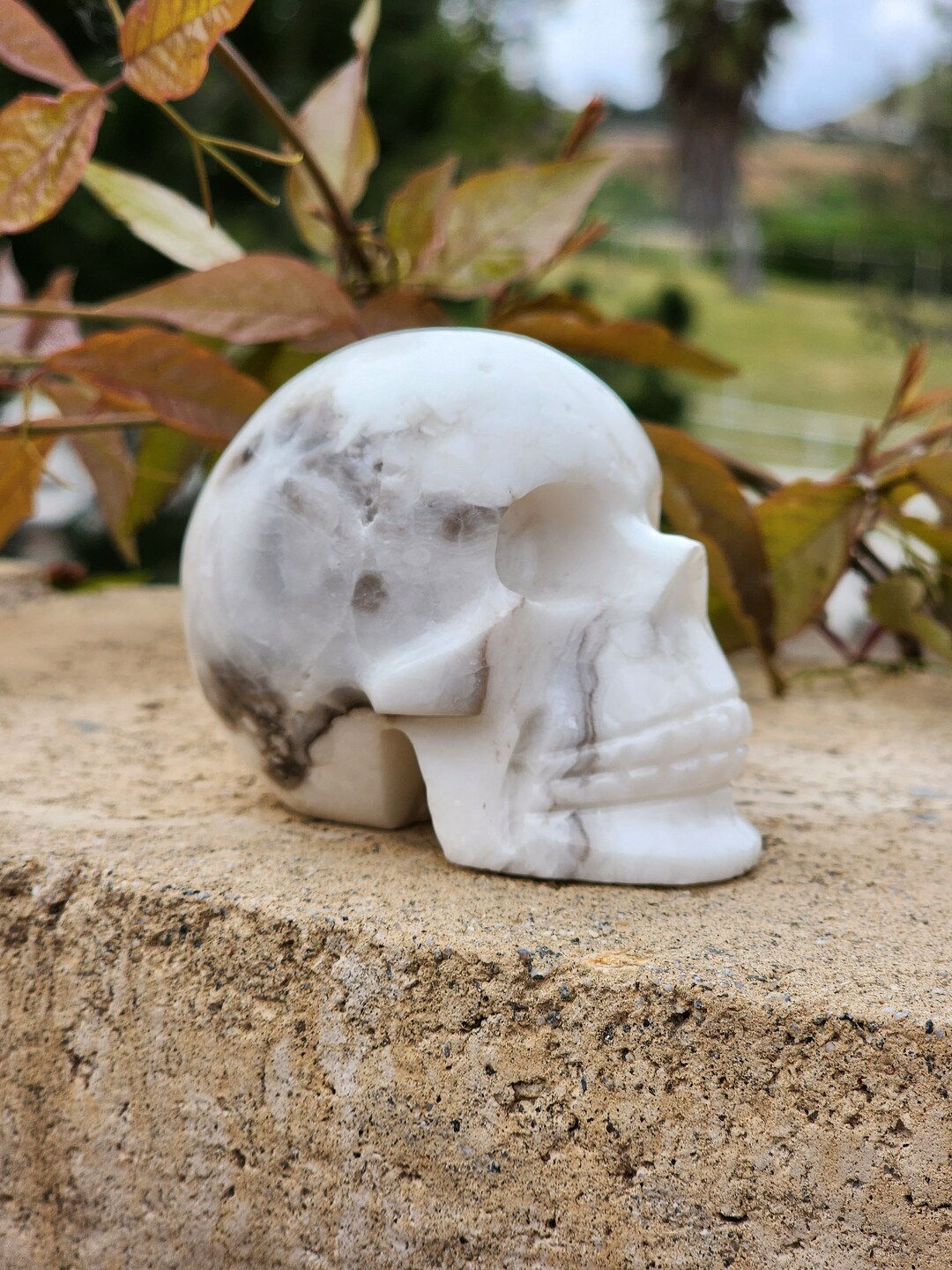 Mexican Banded Calcite Skull. This Unique Polished Crystal Skull is ...