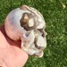 Mexican Banded Calcite Skull. This Unique Large Crystal Skull is Great ...