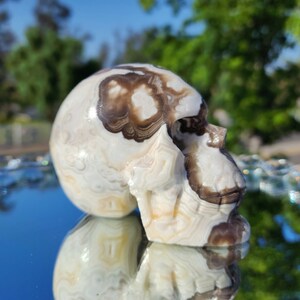 Mexican Banded Calcite Skull. This Unique Large Crystal Skull is Great ...