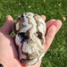 Mexican Banded Calcite Skull. This Unique Large Crystal Skull is Great ...