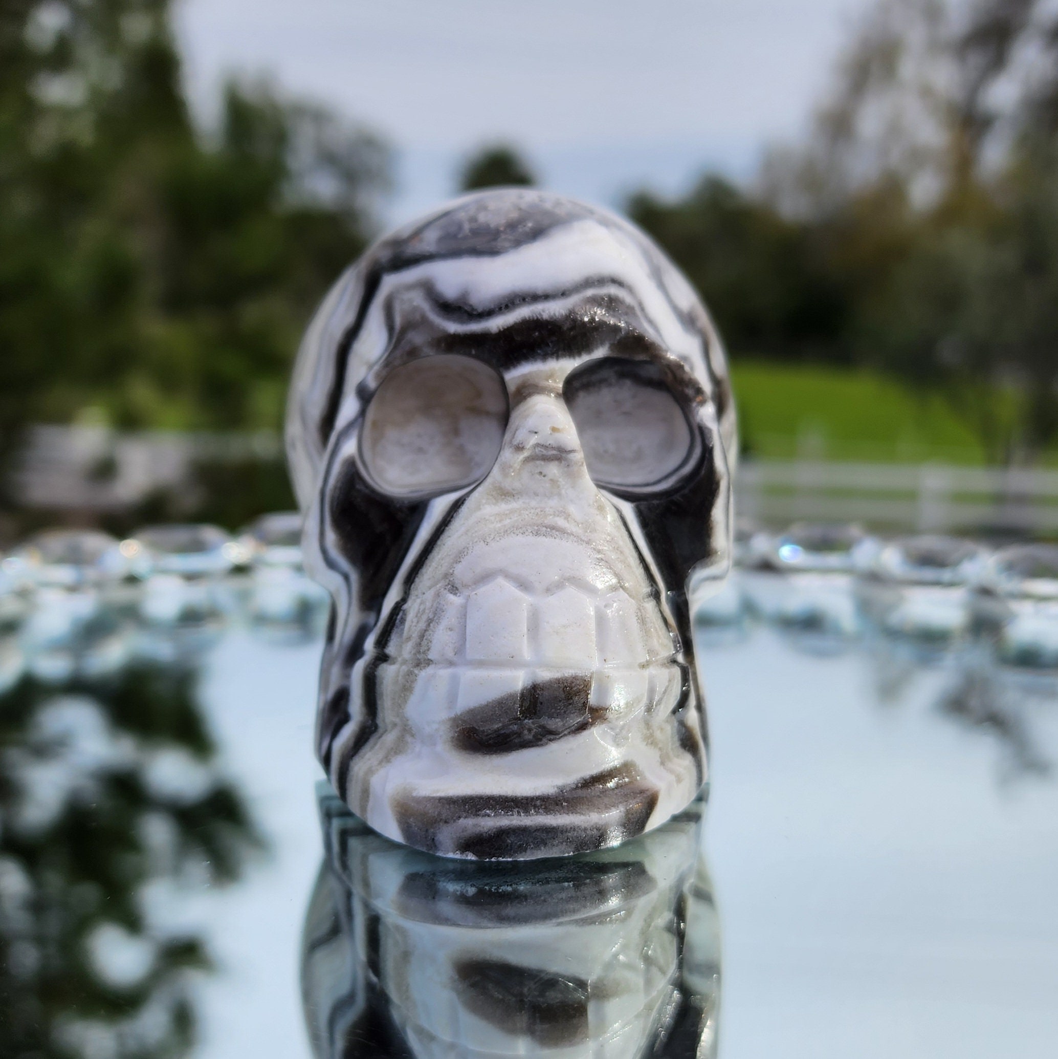 Mexican Zebra Calcite Skull. This Unique Large Crystal Skull - Etsy
