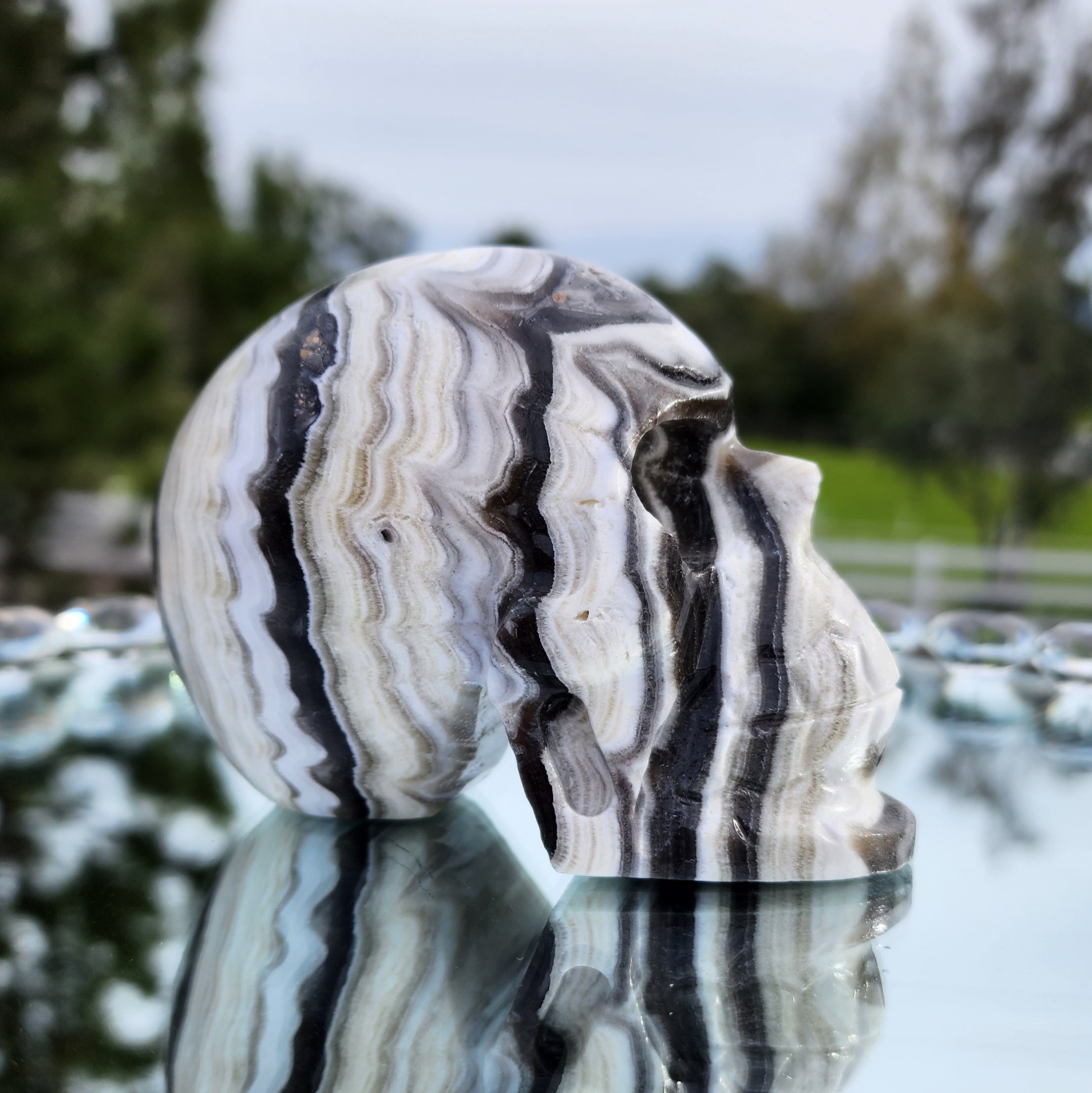 Mexican Zebra Calcite Skull. This Unique Large Crystal Skull is Great ...