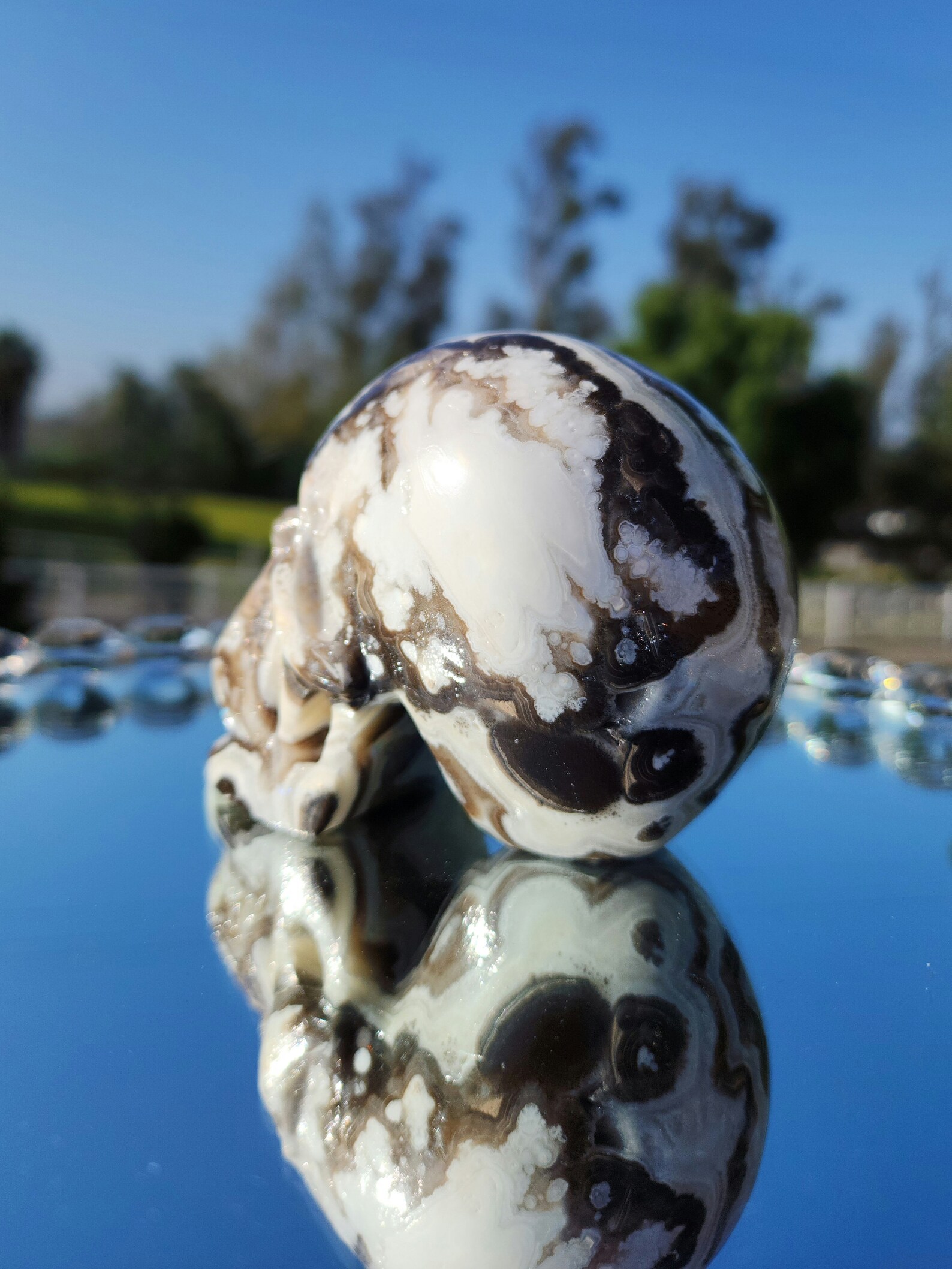 Mexican Banded Calcite Skull. This Unique Large Crystal Skull is Great ...