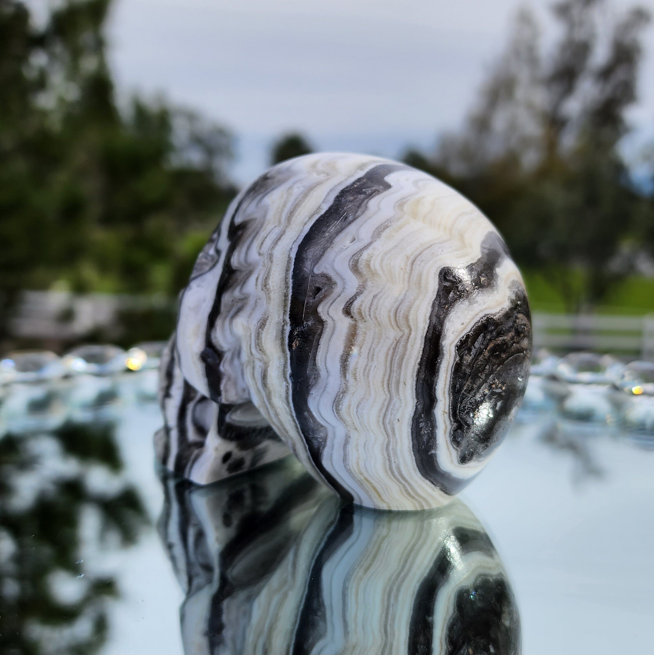 Mexican Zebra Calcite Skull. This Unique Large Crystal Skull is Great ...