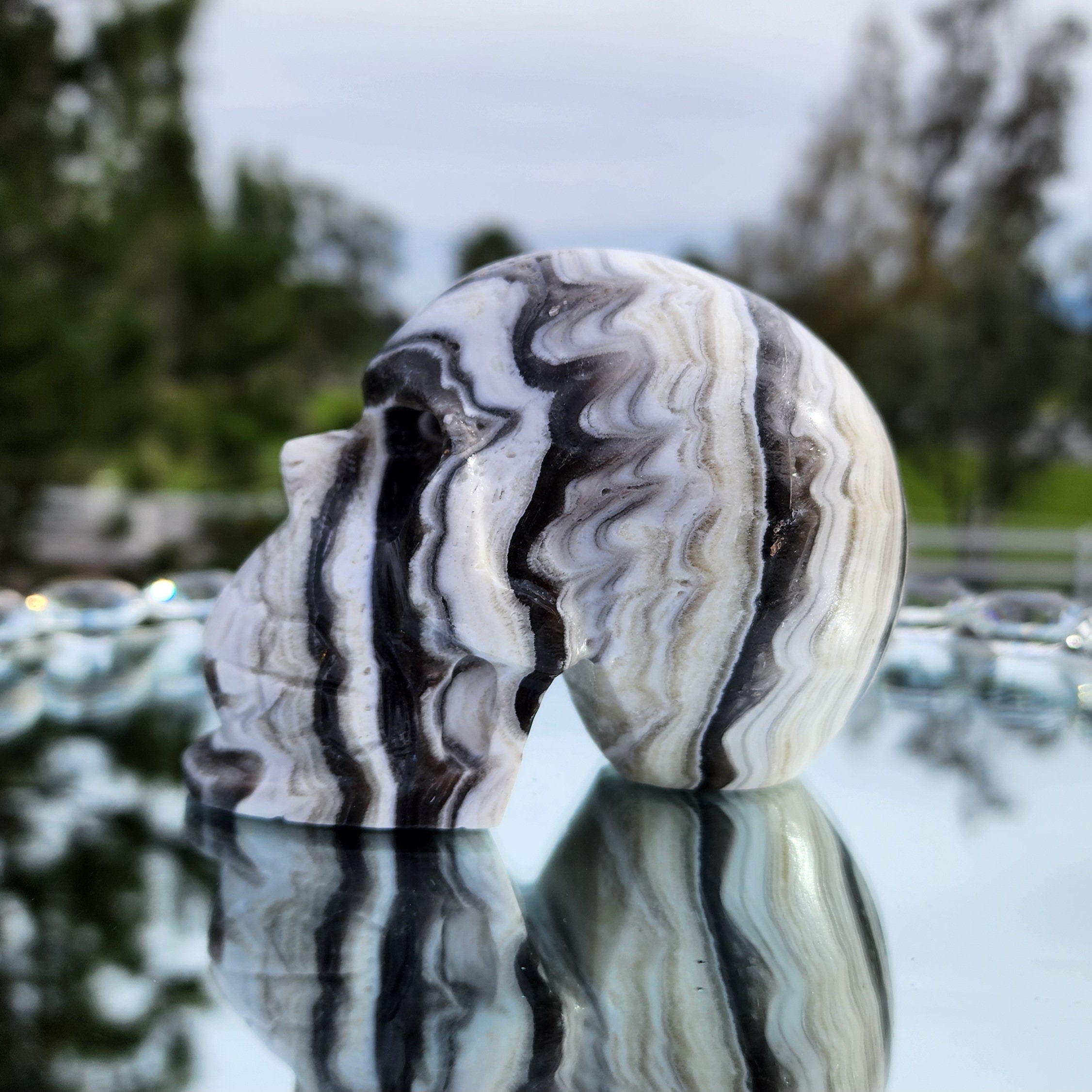 Mexican Zebra Calcite Skull. This Unique Large Crystal Skull - Etsy