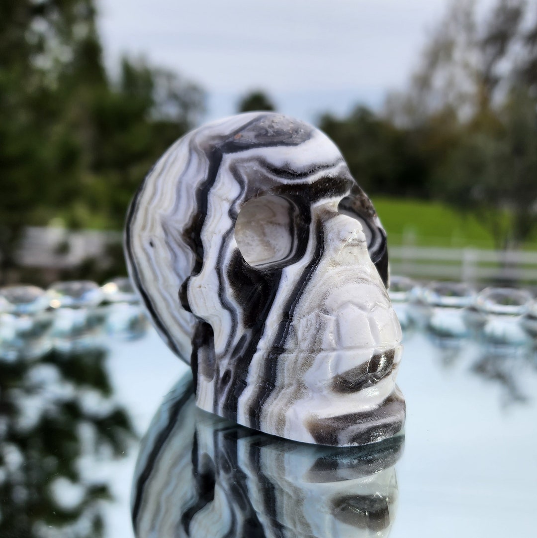 Mexican Zebra Calcite Skull. This Unique Large Crystal Skull is Great ...
