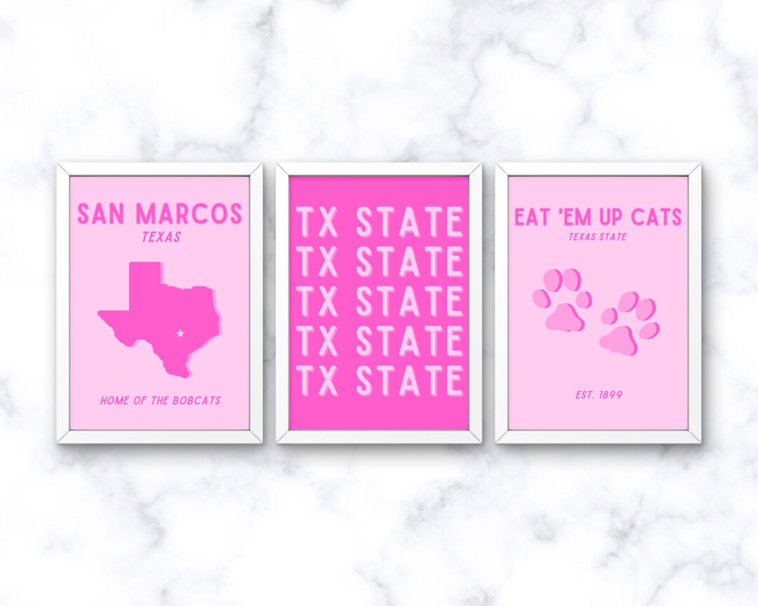 Preppy Texas State Wall Art, Pink Texas State Wall Art, Pink Texas Dorm ...