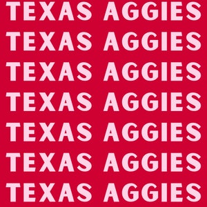 Preppy A&M Wall Art, Texas Aggies Dorm Decor, Pink and Red Preppy Wall ...