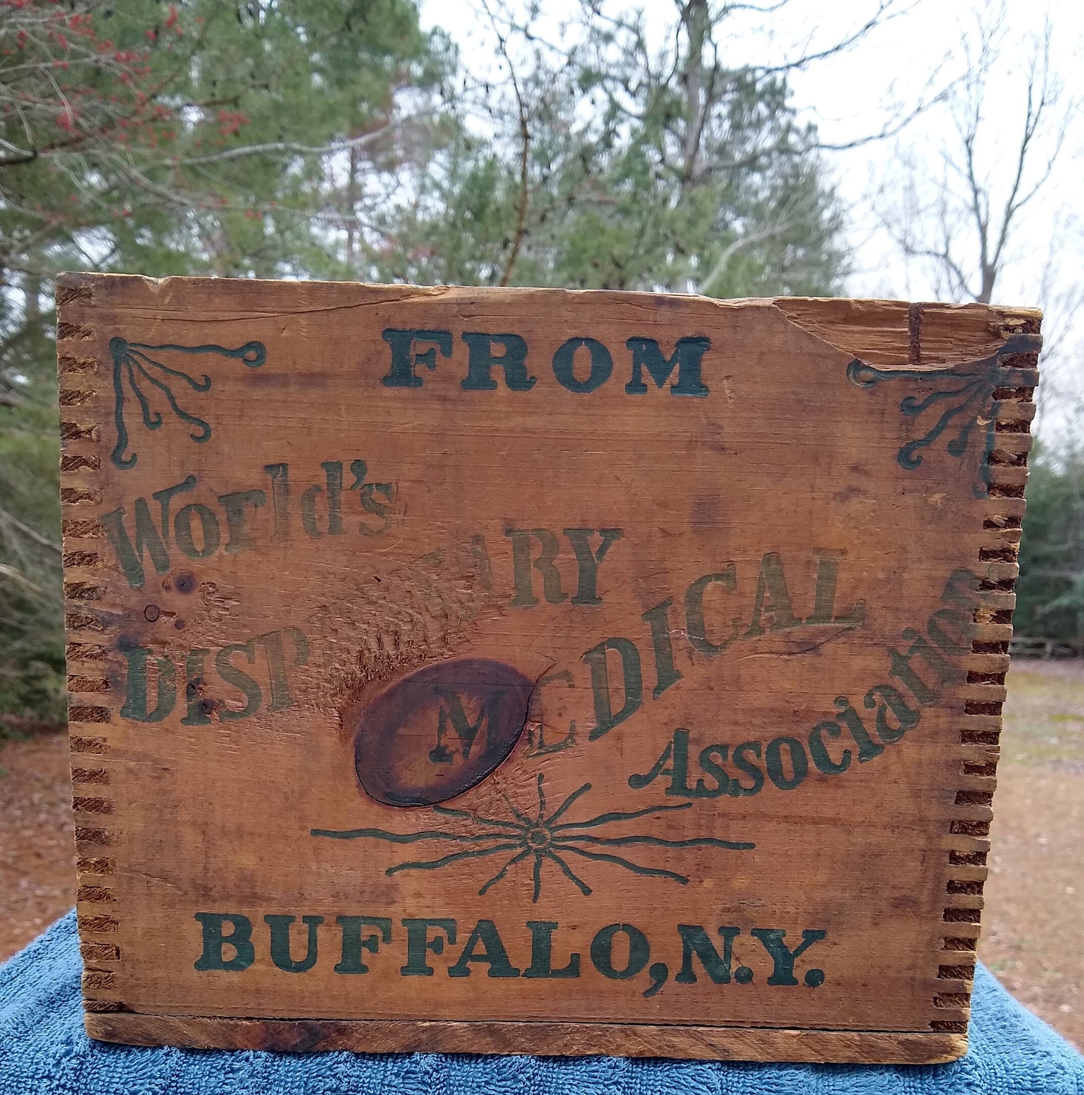 Amazing 1800's Buffalo NY Dr. Pierce's Favorite Prescription Medical ...