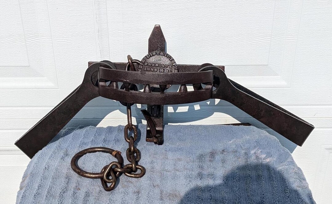 RARE Find! MAN CAVE Extraordinaire, Scarce Vintage Huge Mackenzie District Fur, Number 15 Bear ...