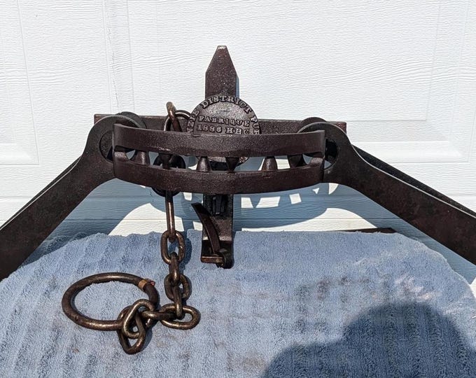 RARE Find! MAN CAVE Extraordinaire, Scarce Vintage Huge Mackenzie District Fur, Number 15 Bear ...