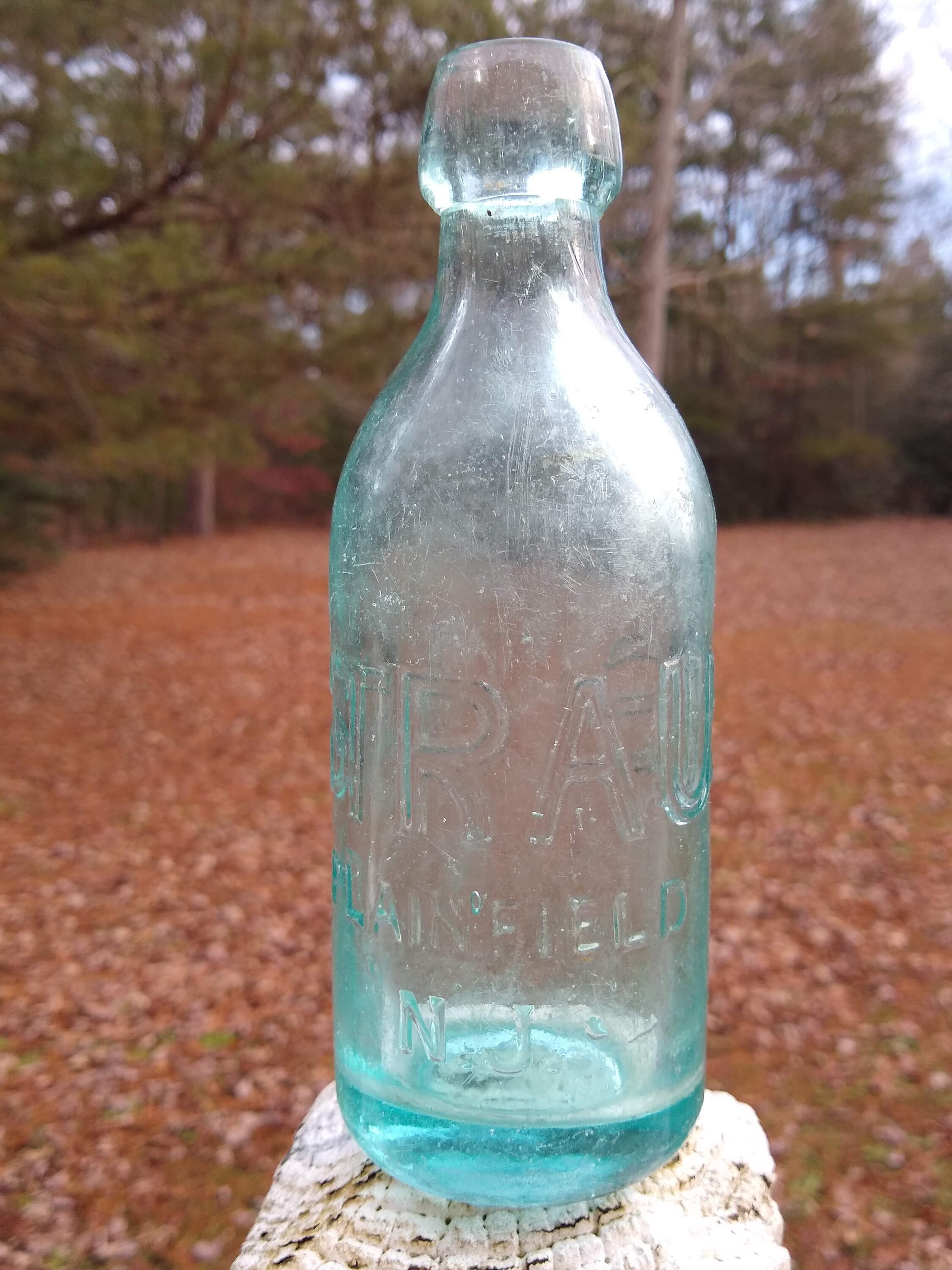 RARE Mid-1800's H. Strauss Plainfield NJ Very Heavy Hand Made Pony ...