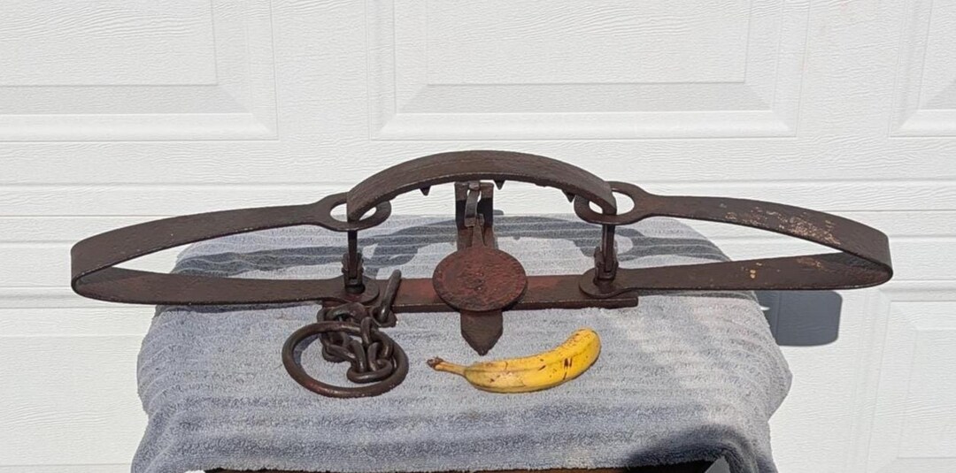 RARE Museum Find! Antique Fabulous Man Cave Extraordinaire, Quality ...