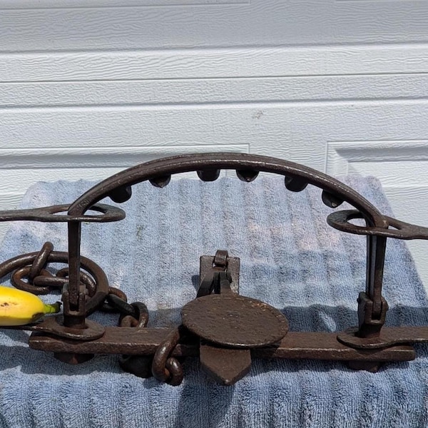 Newhouse Trap - Etsy