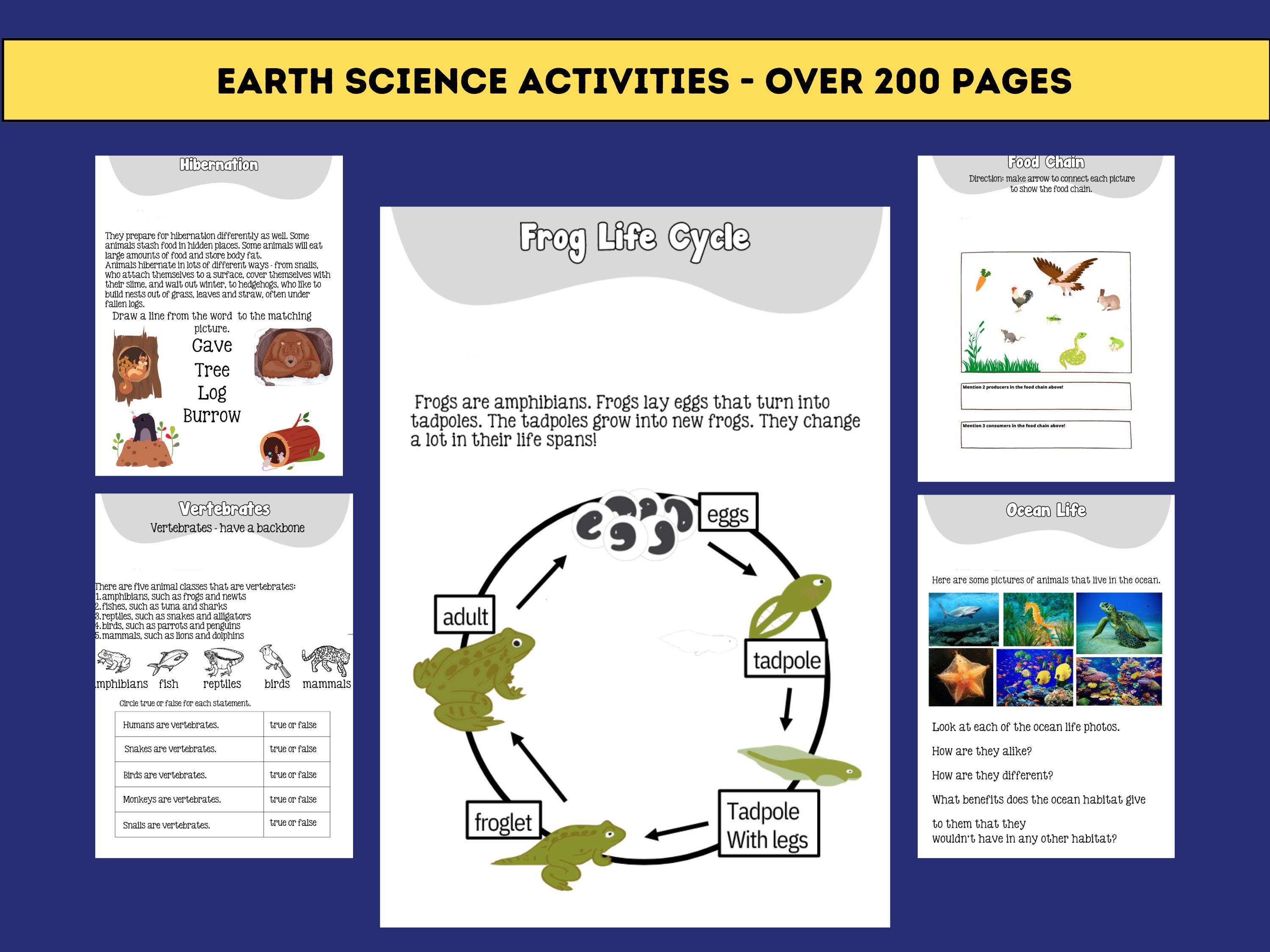 First Grade Science PRINTABLE Activity Book Earth Sciences Lifecycles ...