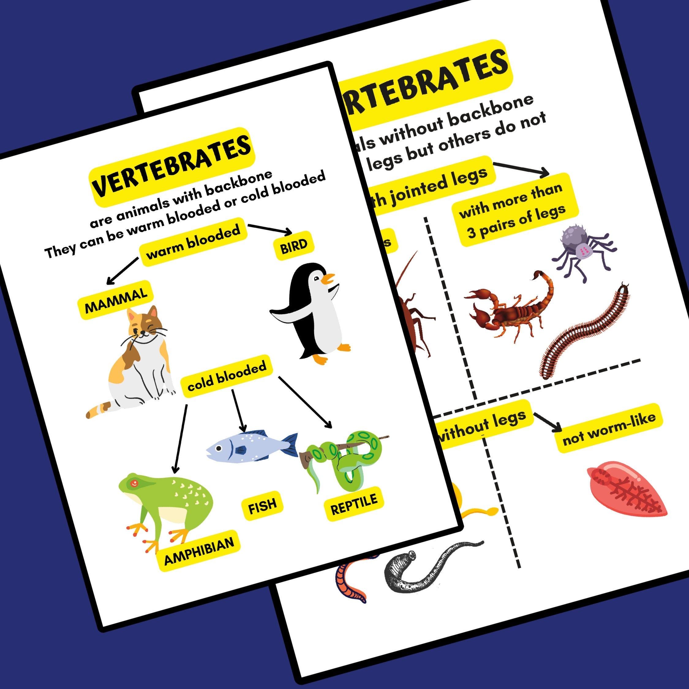 3rd Grade Science Activity Book: Motion, Energy, Space Workbook ...