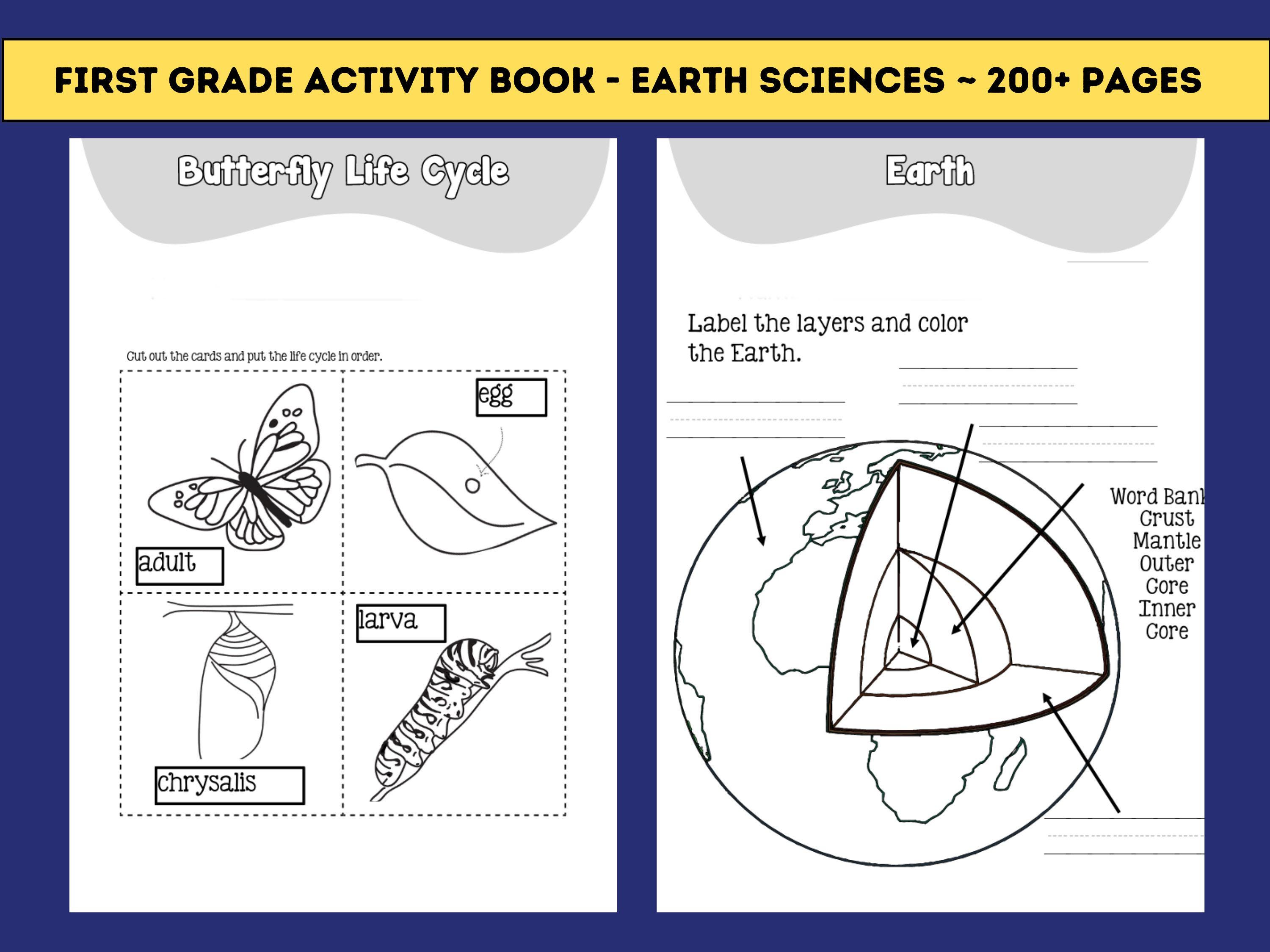 First Grade Science PRINTABLE Activity Book Earth Sciences Lifecycles ...