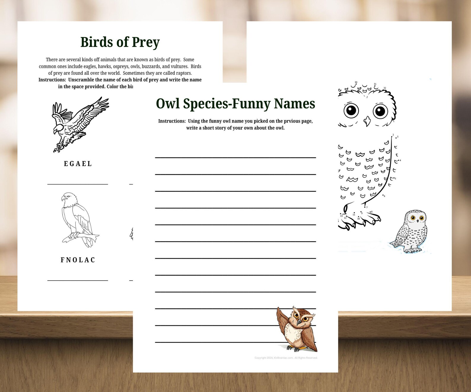 Ozzie the Owl Printable Study Unit Storybook Reading Activity Book ...