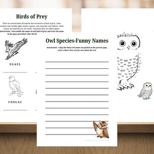 Ozzie the Owl Printable Study Unit Storybook Reading Activity Book ...