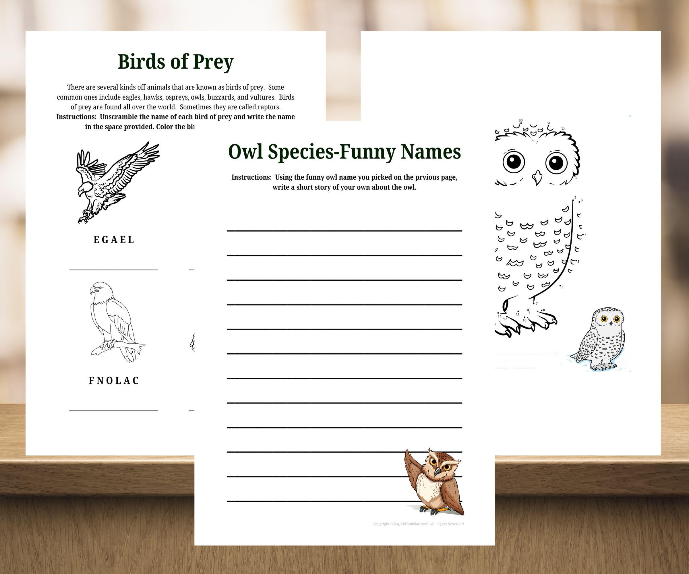 Ozzie the Owl Printable Study Unit Storybook Reading Activity Book ...
