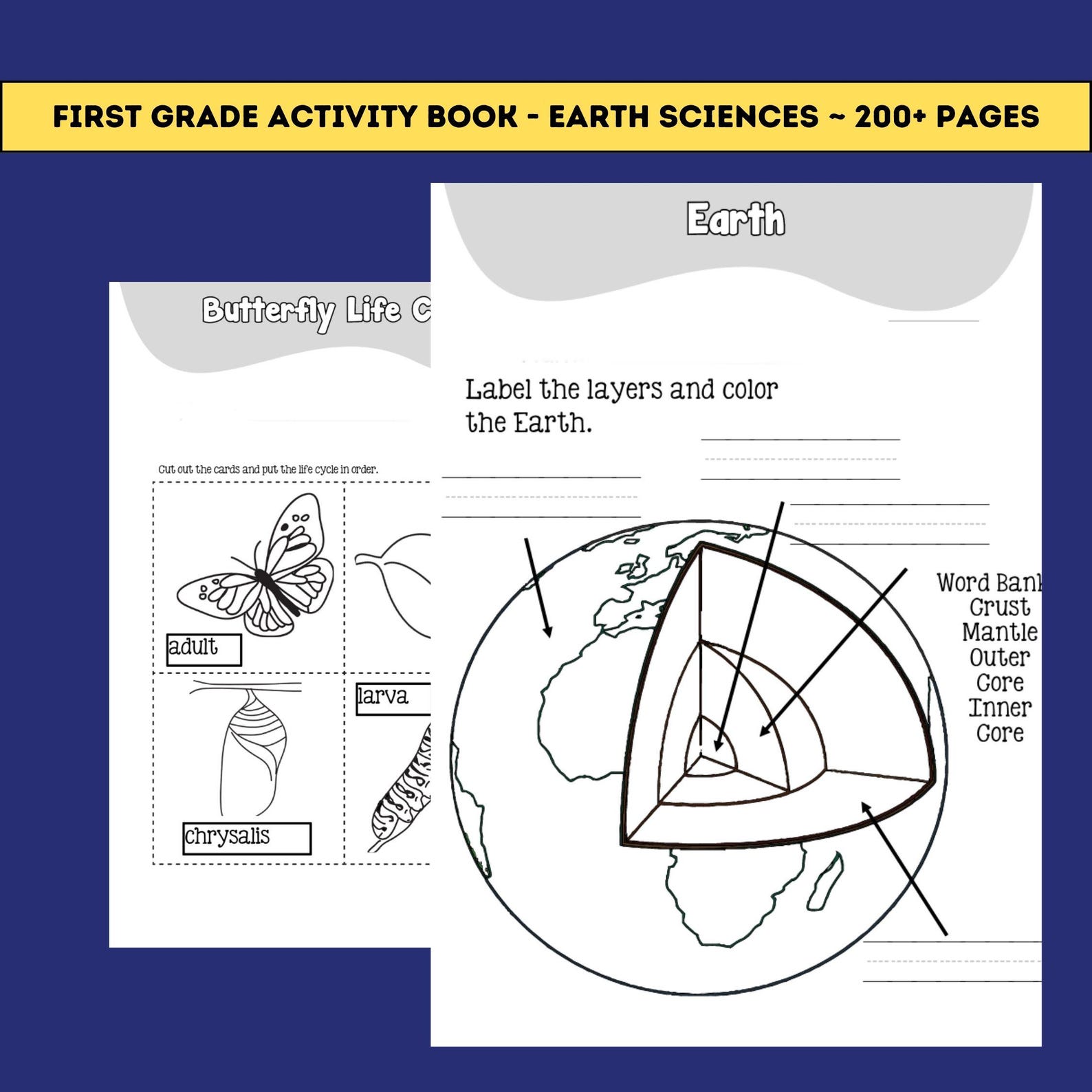 First Grade Science PRINTABLE Activity Book Earth Sciences Lifecycles ...