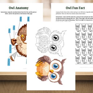 Ozzie the Owl Printable Study Unit Storybook Reading Activity Book ...