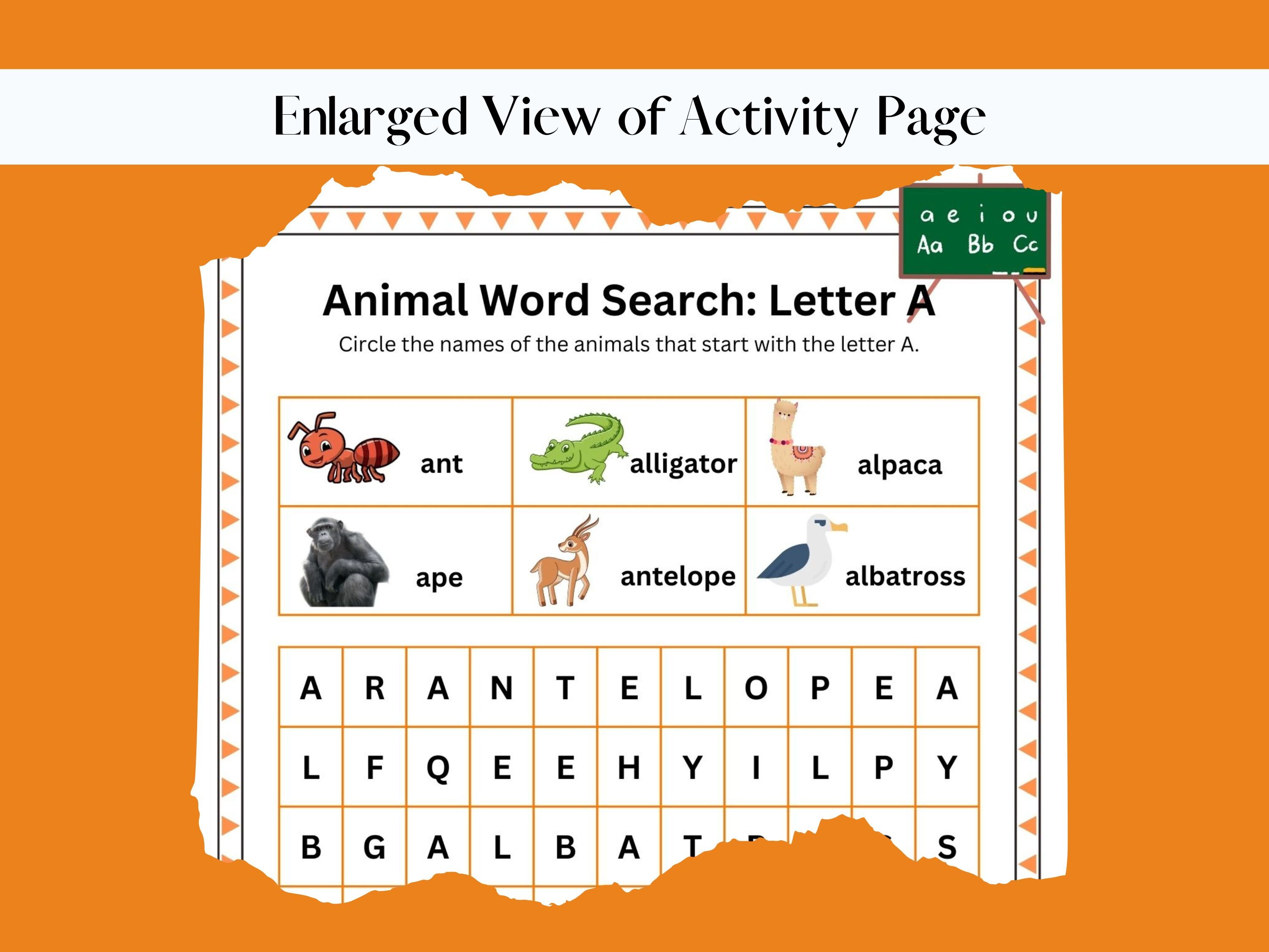 First Grade Vocabulary Activity Book Spelling Sight Words Worksheets ...