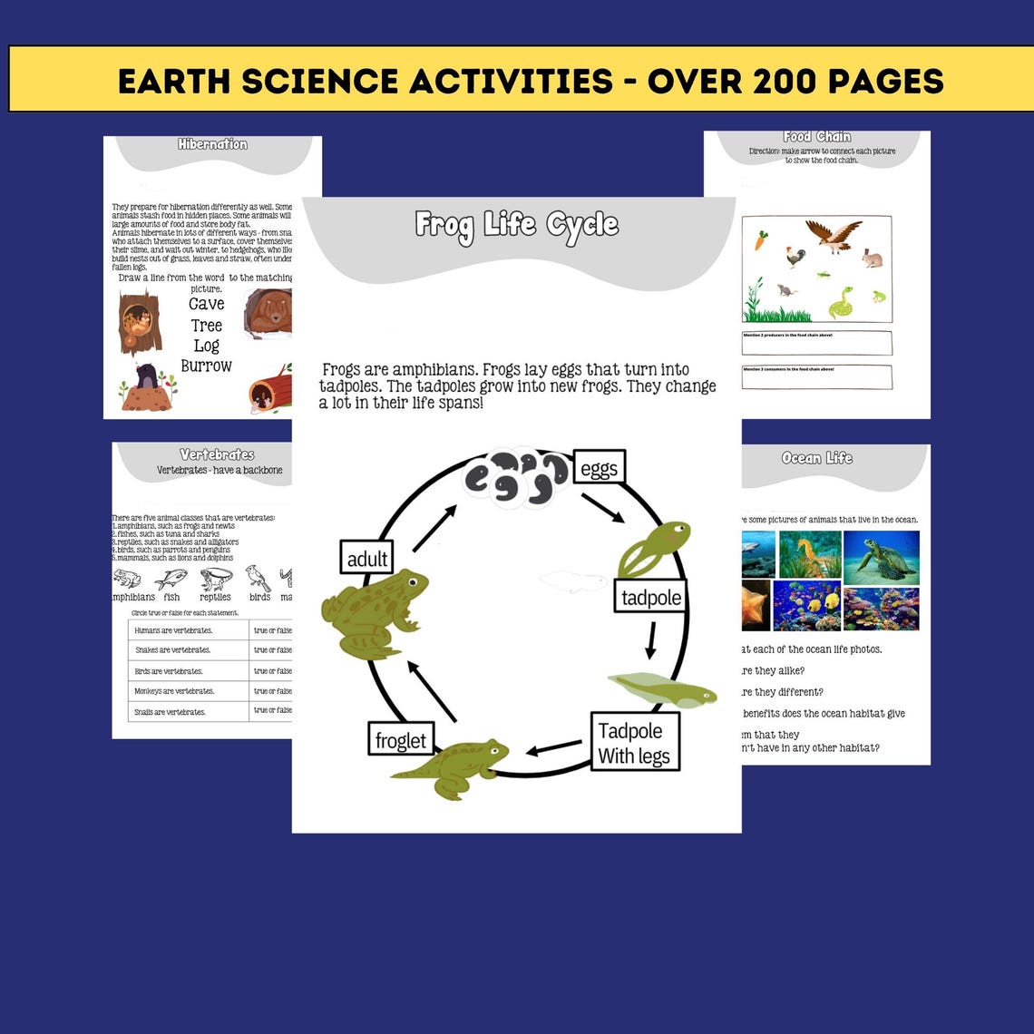 First Grade Science PRINTABLE Activity Book Earth Sciences Lifecycles ...