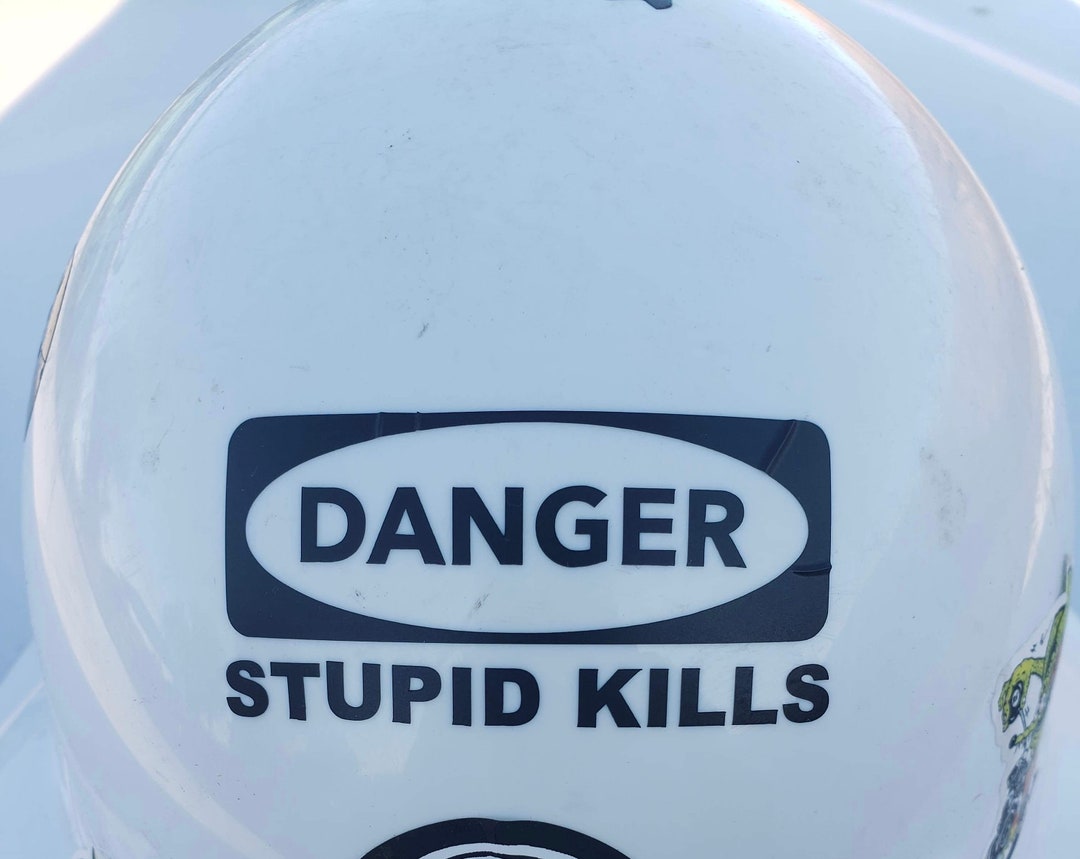 Danger Stupid Kills Vinyl Decal - Etsy