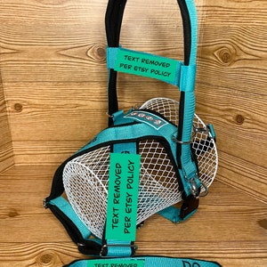 X Back Y Front Dog Harness - Custom Made With Vinyl and Webbing - Etsy