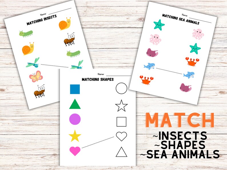 Printable Matching Worksheets for Preschool & Kindergarten ...