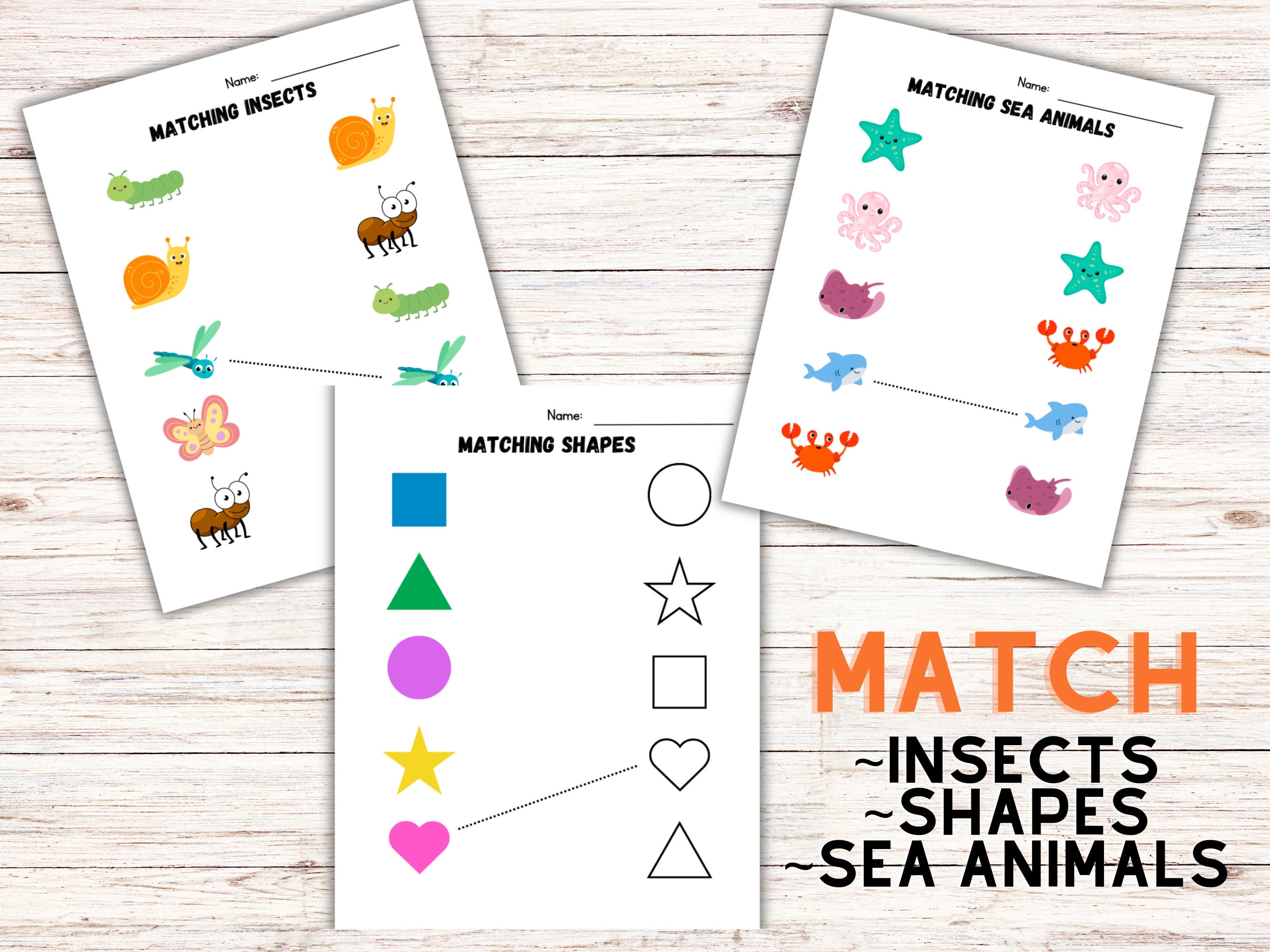 Printable Matching Worksheets for Preschool & Kindergarten ...