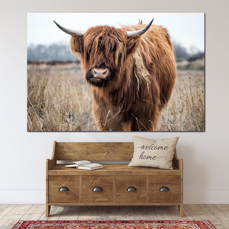 Highland Cow Print - Etsy