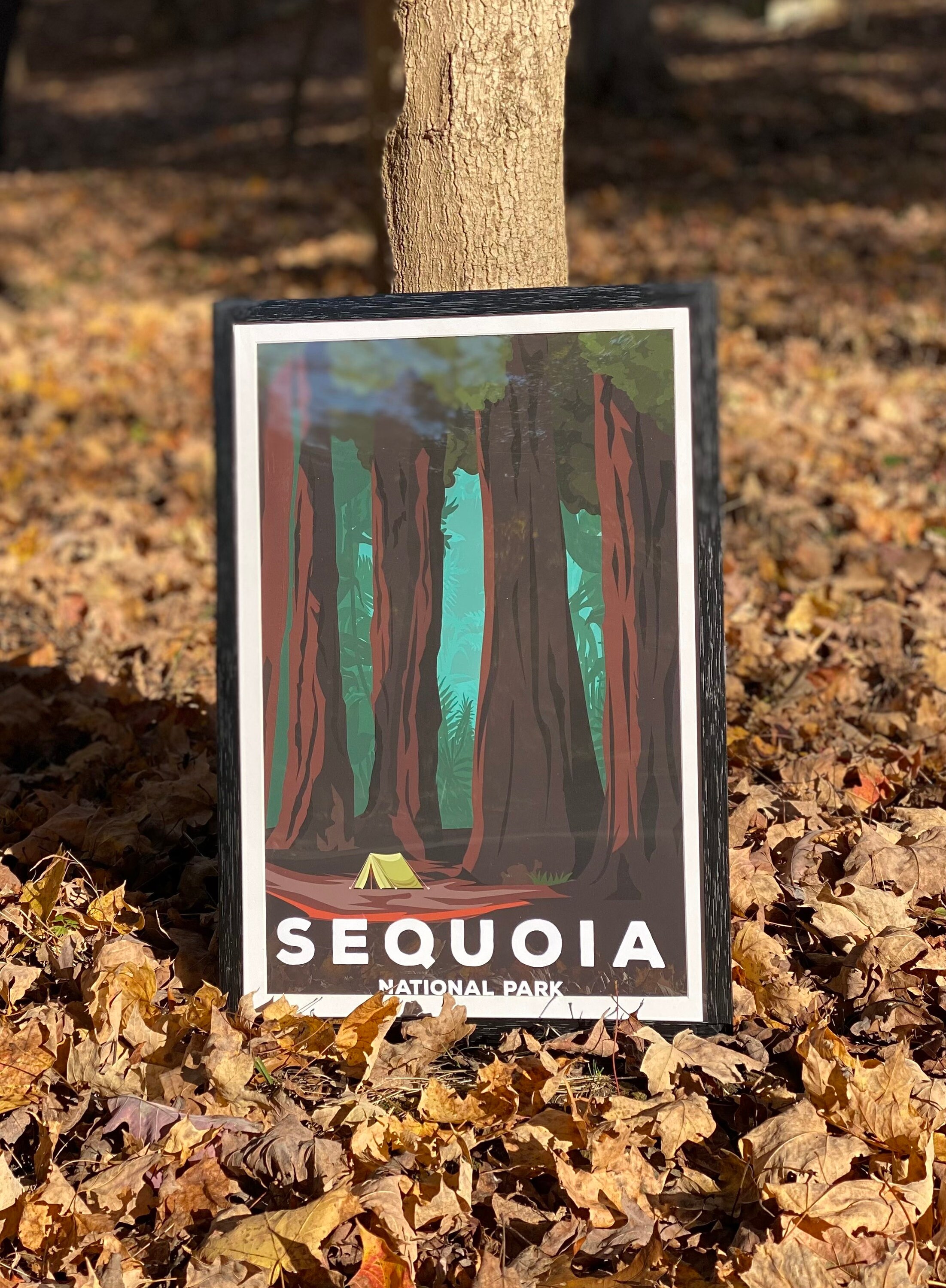 Sequoia National Park Poster Sequoia Wall Art Print - Etsy