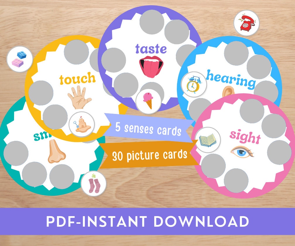 Five Senses Sorting Activity Printable 5 Senses Sorting Educational