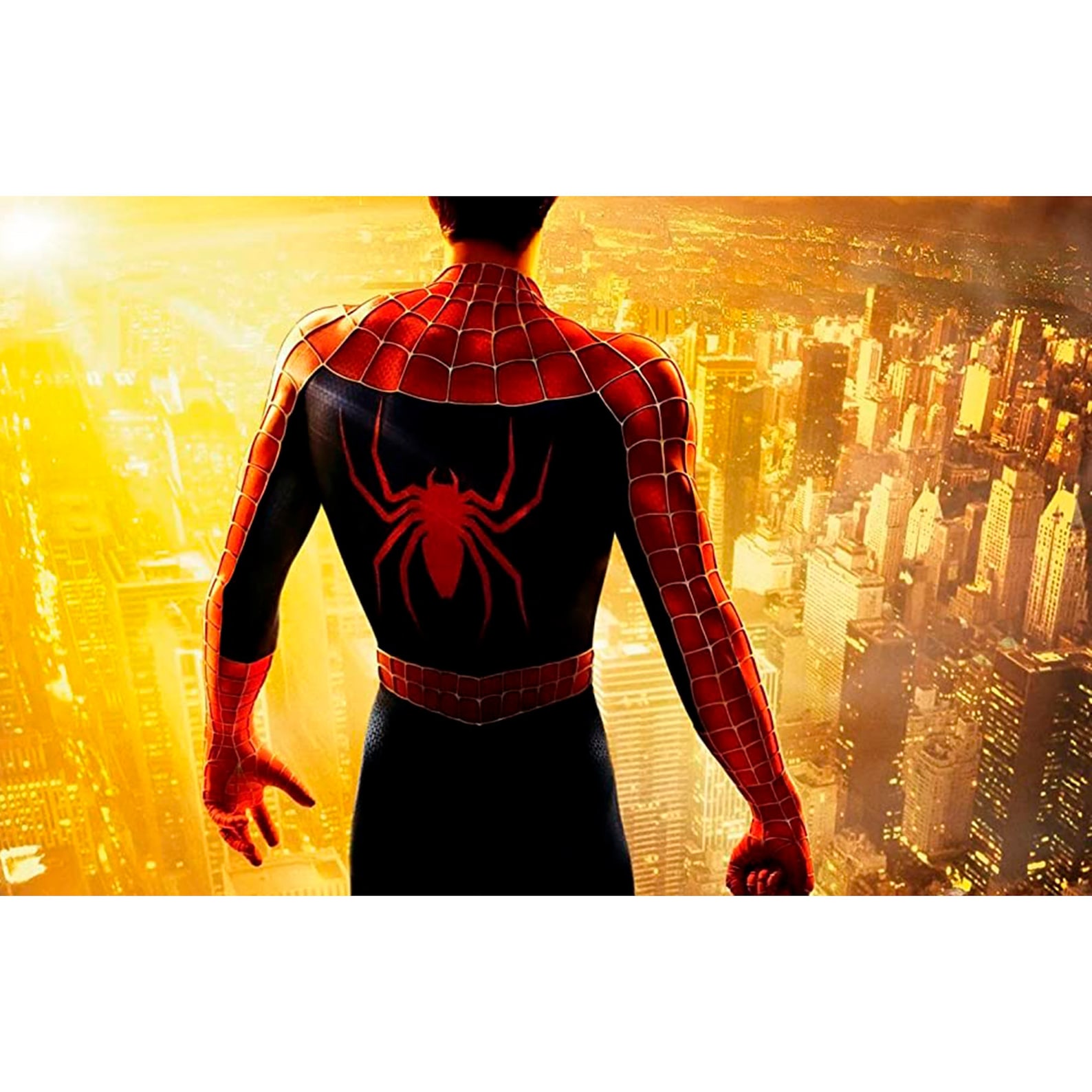 Raimi Spider-man 2 2004 Classic Suit Pattern V1 - Etsy