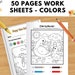 50 Printable Color by Numbers and Copy the Colors Worksheets for ...