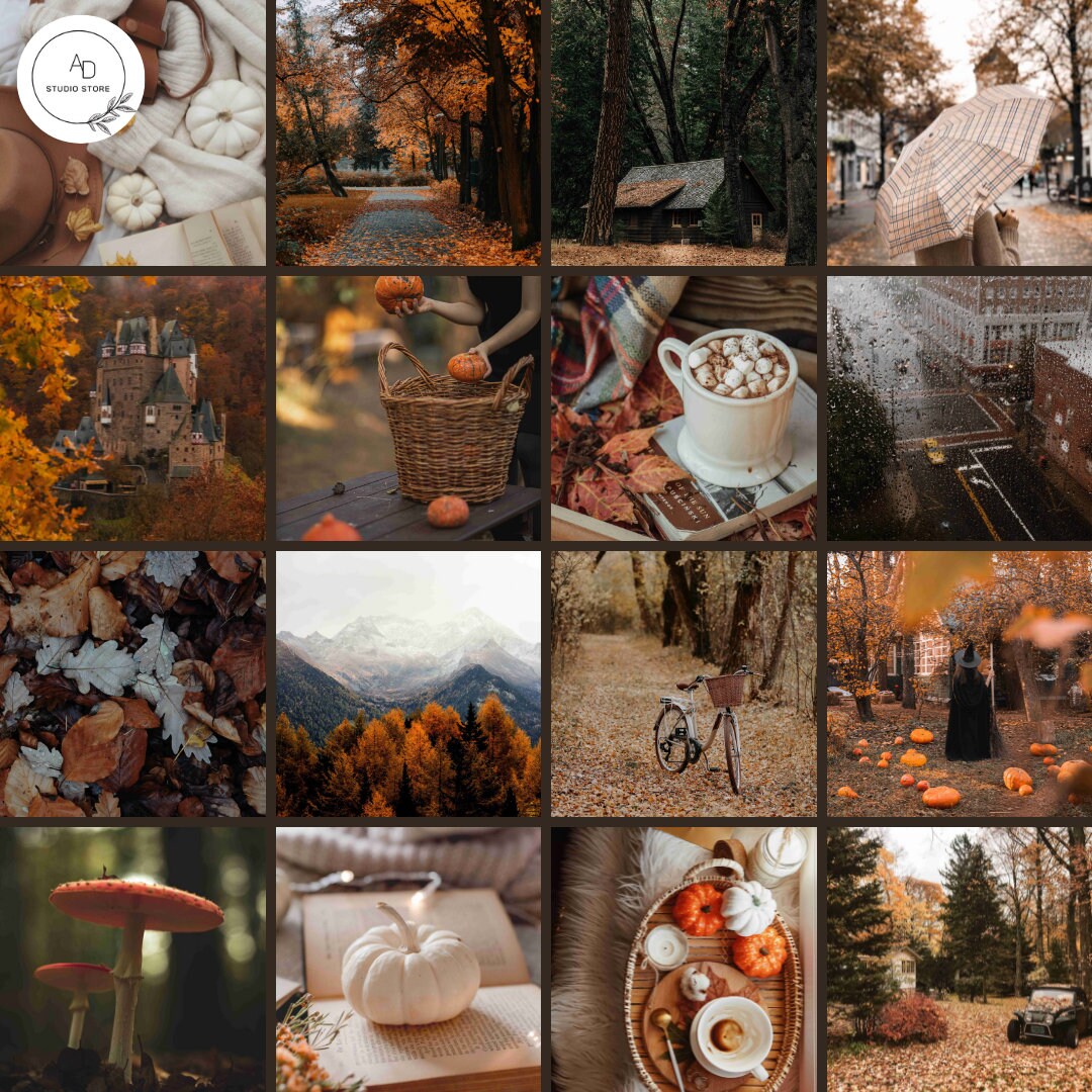 45 Autumn, Fall Photo Wall Collage Kit,dark Aesthetic Picture Wall ...