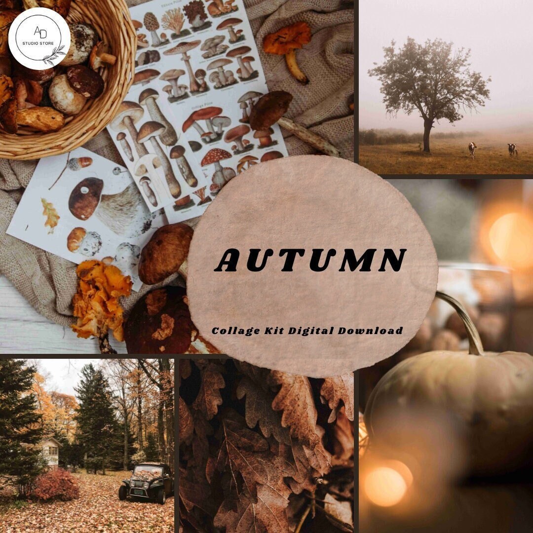 45 Autumn, Fall Photo Wall Collage Kit,dark Aesthetic Picture Wall ...