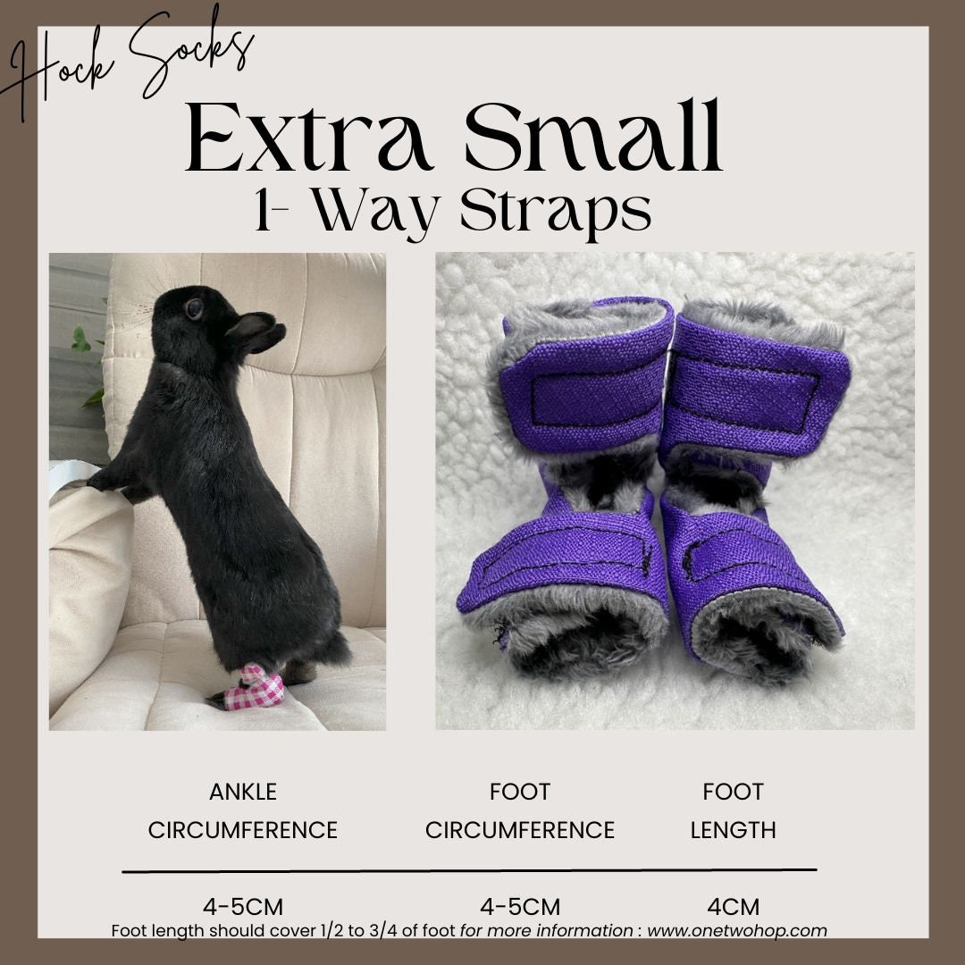 Size: Extra Small Rabbit Hock Socks (1-way Straps) - Etsy