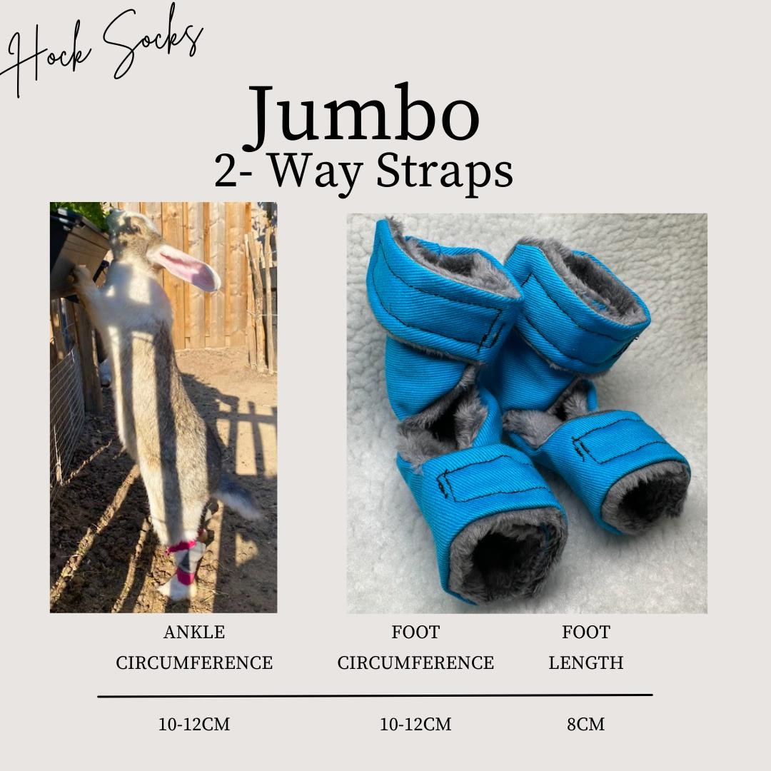 Size: Jumbo Rabbit Hock Socks (2-way Straps) - Etsy