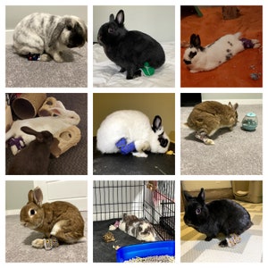 Size: Jumbo Rabbit Hock Socks (2-way Straps) - Etsy