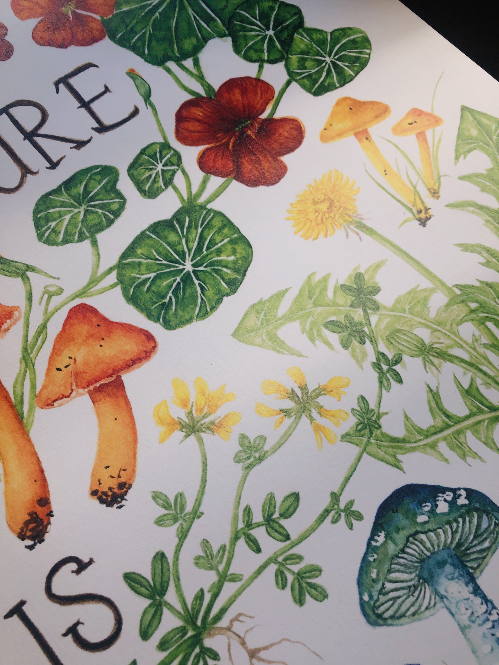 Nature is Queer LGBTQIA Print A3 Size - Etsy