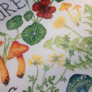 Nature is Queer LGBTQIA Print A3 Size - Etsy